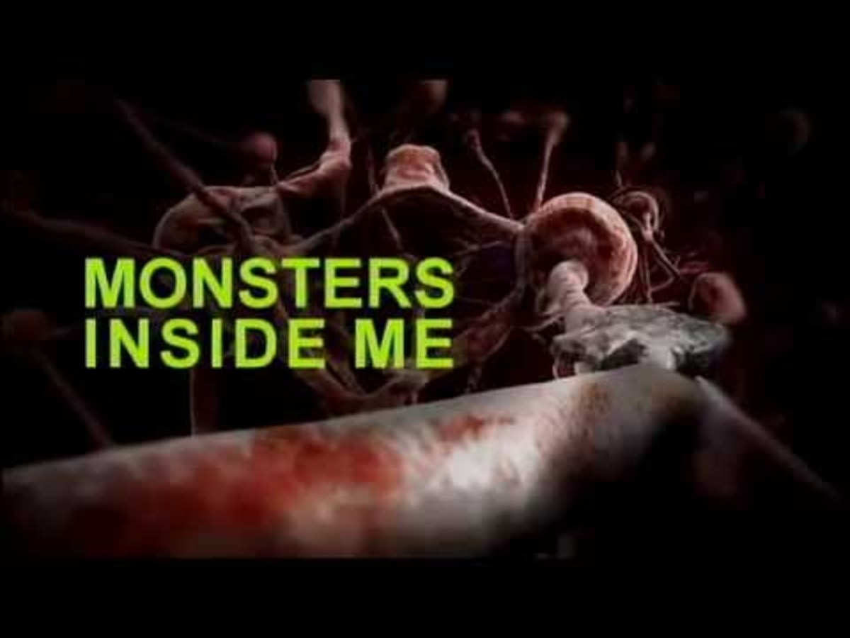 Pam Morris on HubPages