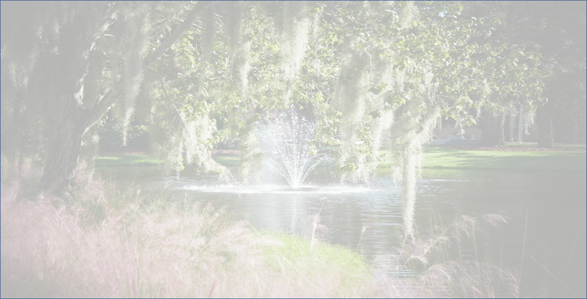 How to Change Photo Transparency in Office 365 Programs - HubPages