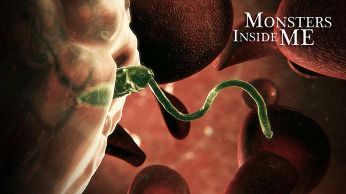 Pam Morris on HubPages