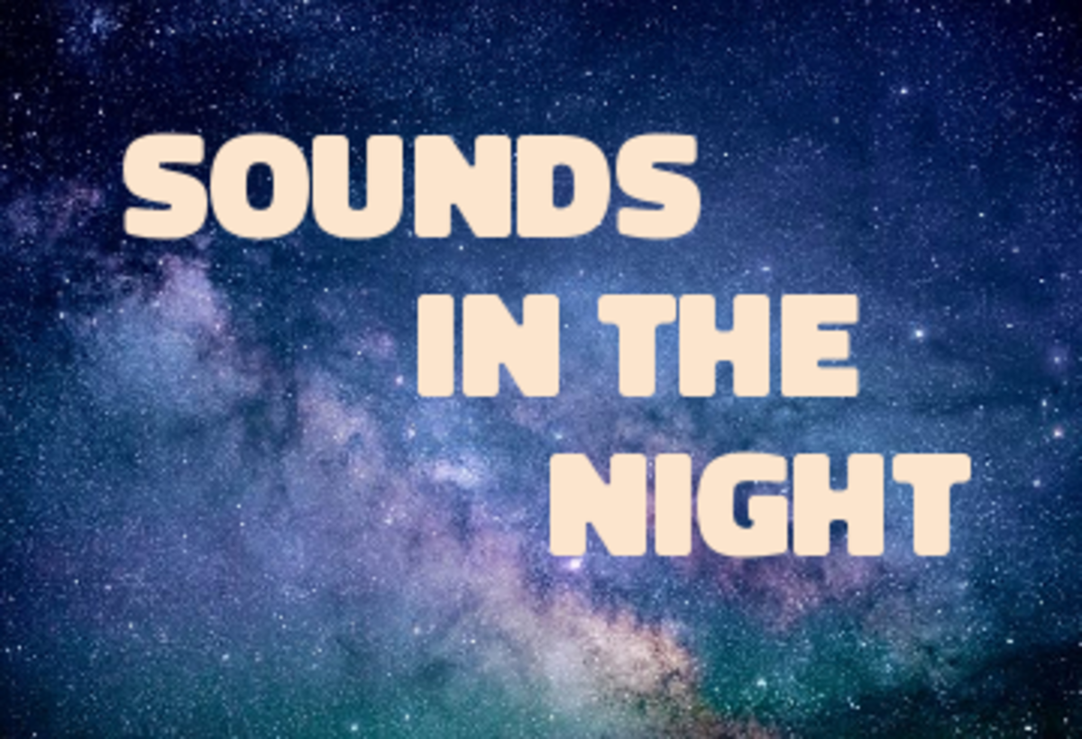 Poem: Sounds in the Night - HubPages