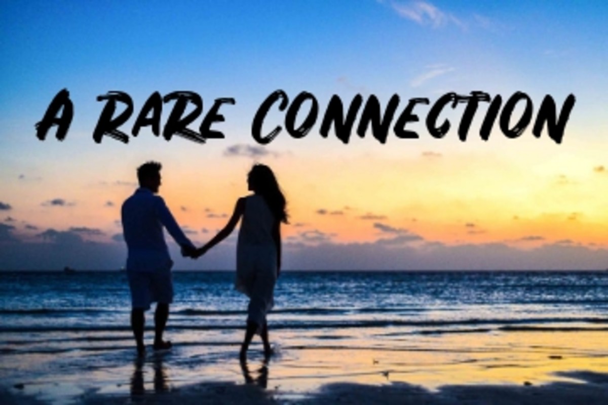 Poem: A Rare Connection - HubPages