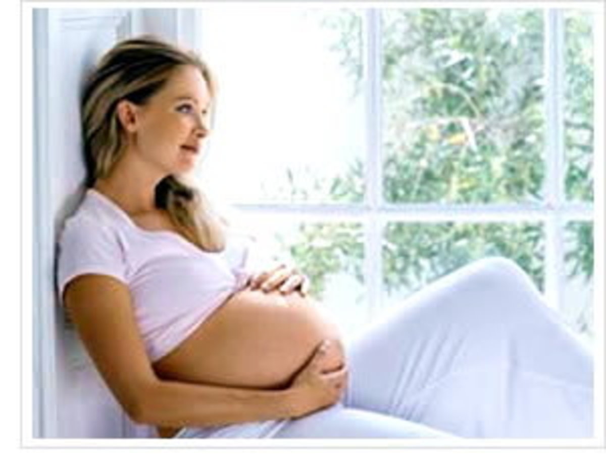 Normal Pregnancy and Childbirth With Fetal Development Photos - HubPages
