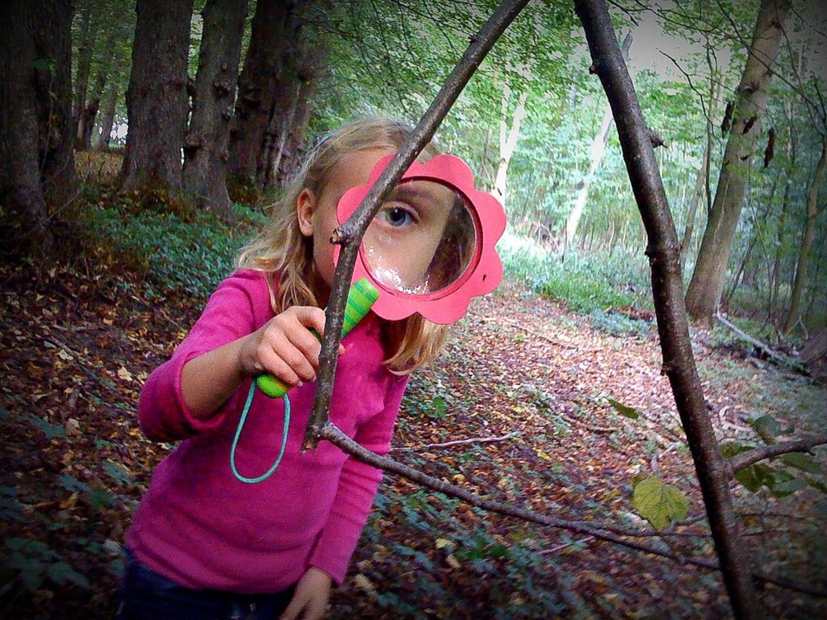 Fun and Educational Nature Study Activities for Children - WeHaveKids