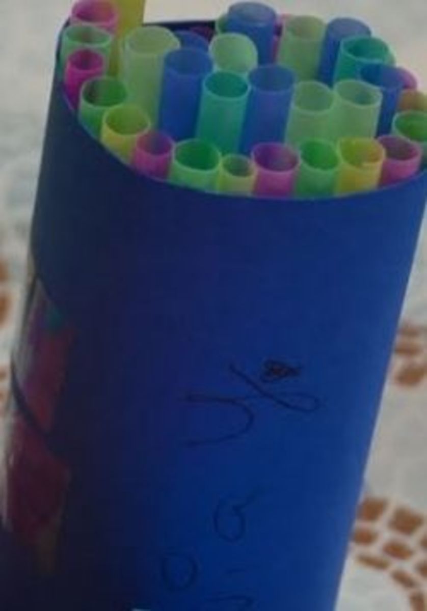 Skeletal Muscle Model Project