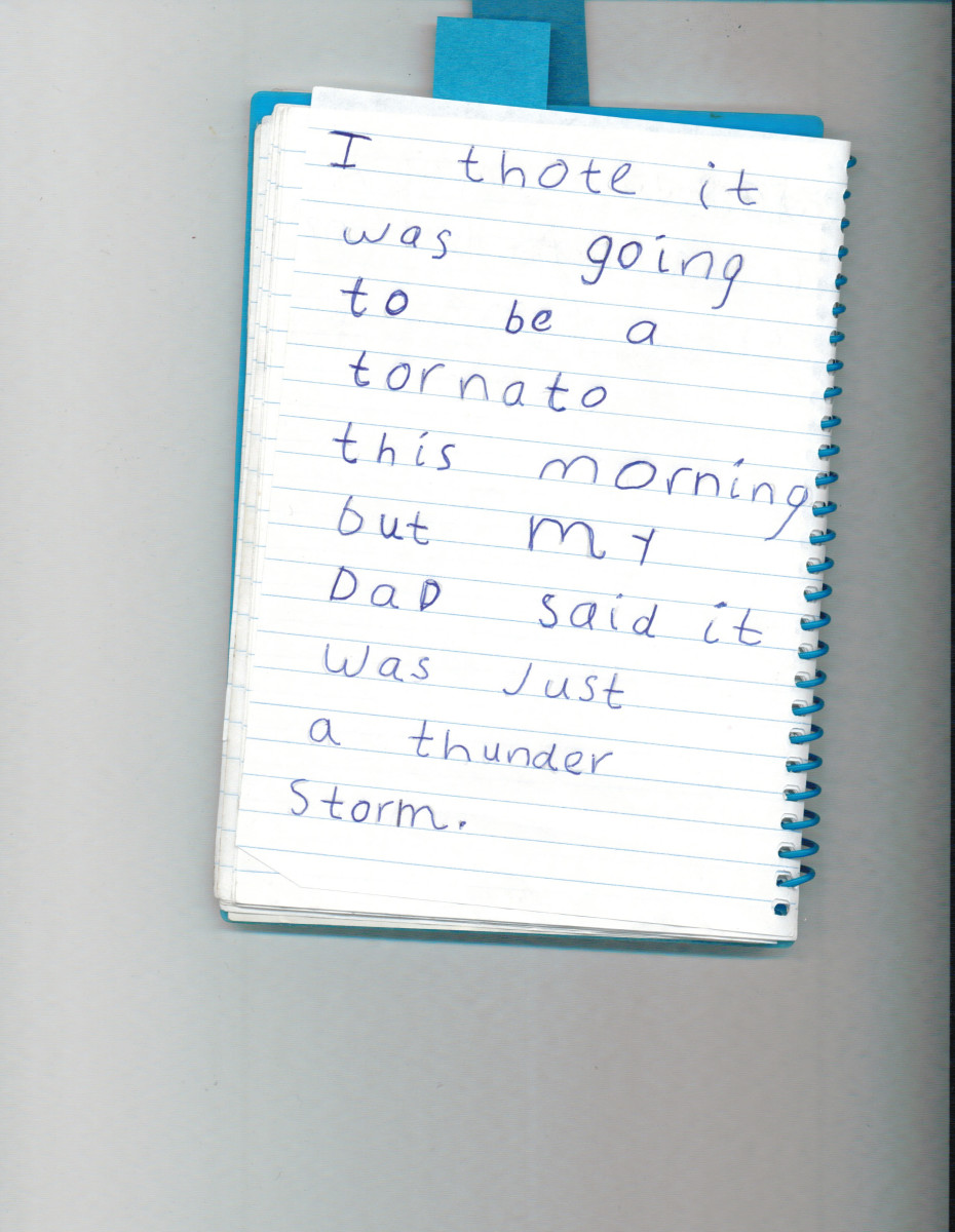 Diary of a MAD 7 Year Old - Effective Anger Management Strategies for ...