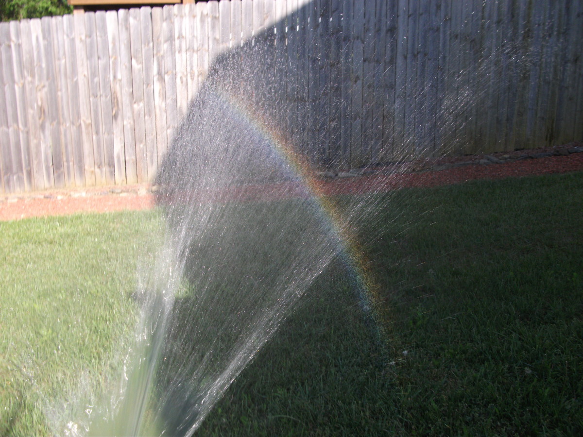 How to Make a Rainbow at Home: Fun Science Projects for Kids - WeHaveKids