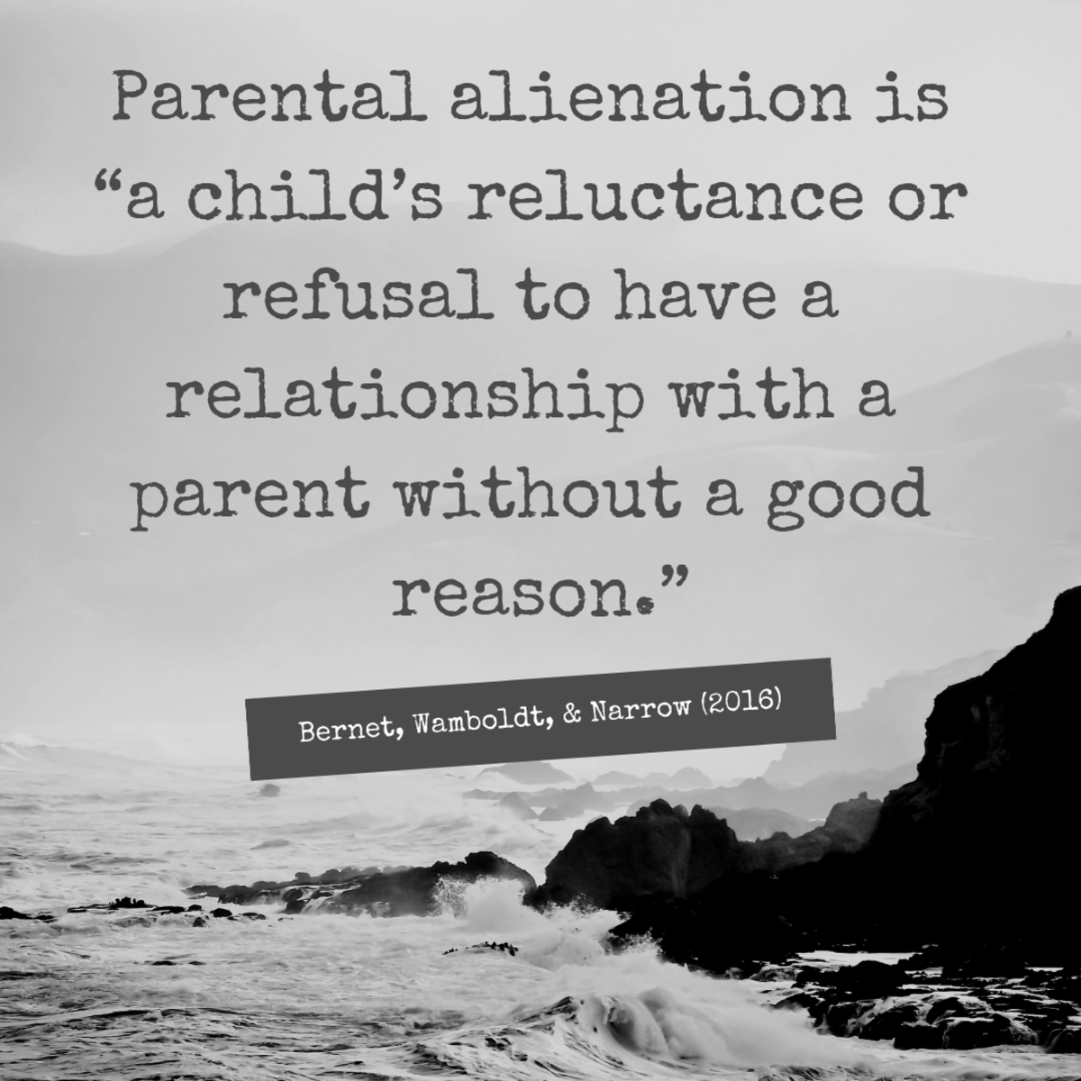 Parental Alienation in High-Conflict Custody Situations: What Does the ...