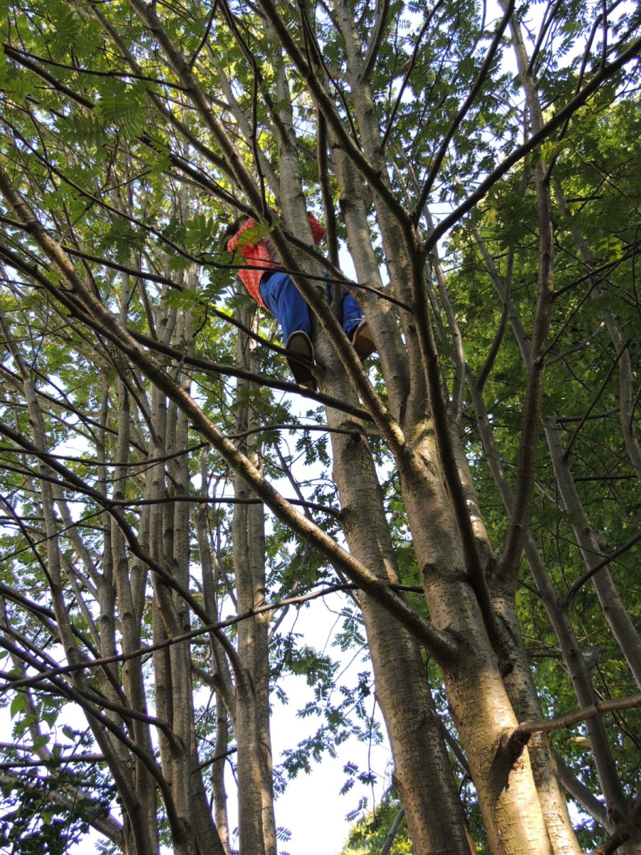 How to Play a Game of Outdoor "Hunger Games" - HubPages