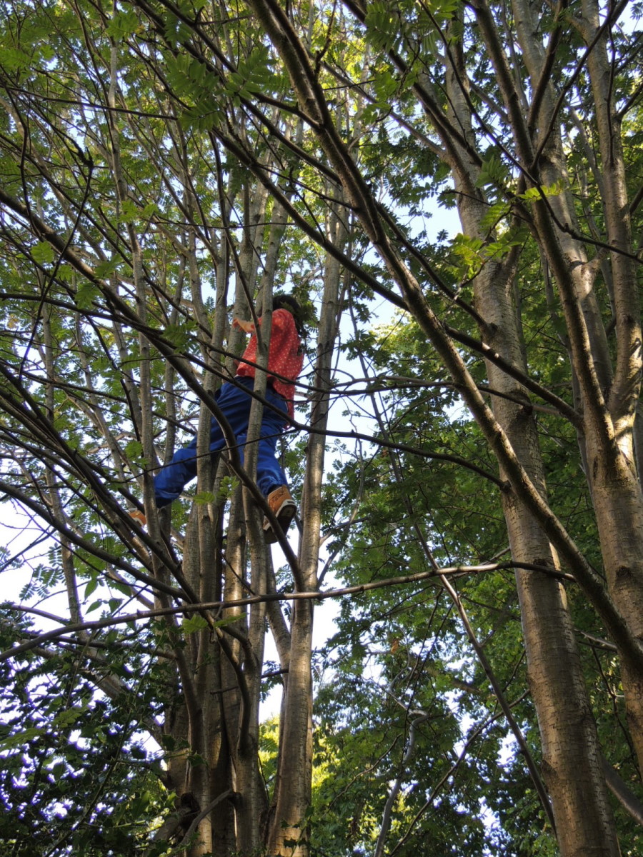 How to Play a Game of Outdoor "Hunger Games" - HubPages