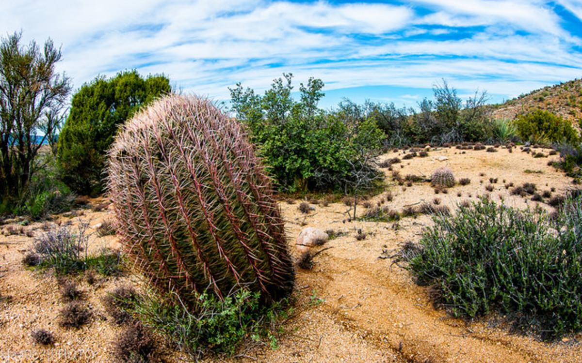 Baby Names Inspired By The Desert WeHaveKids Baby Names Inspired By The Desert WeHaveKids