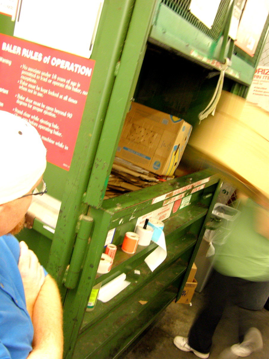 Field Trip Fun at Publix - HubPages