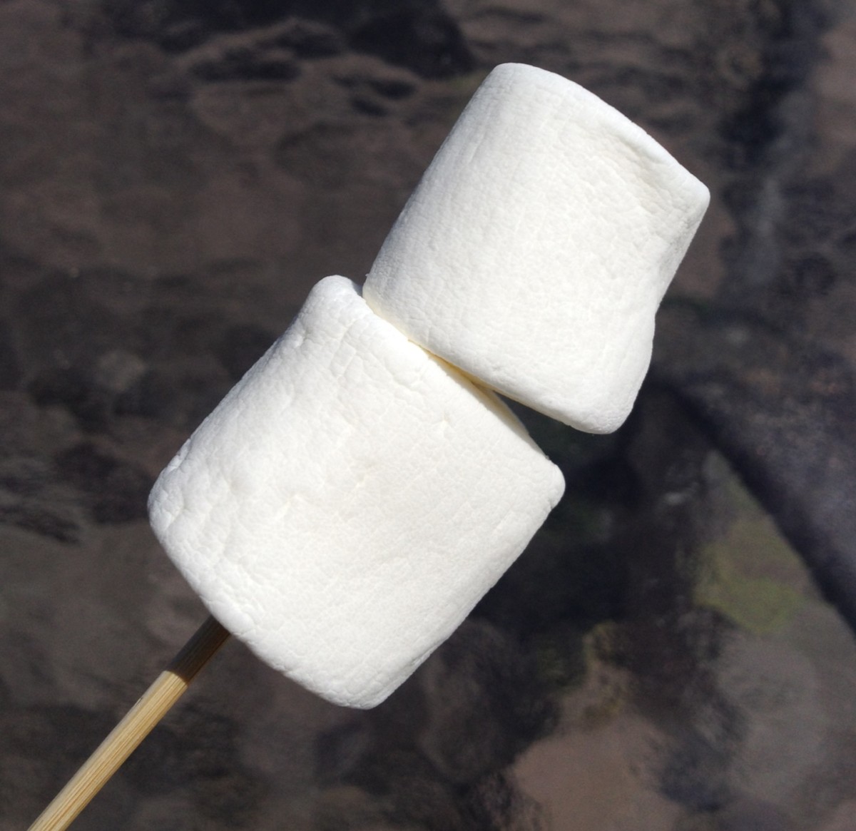 How to Make Campfire S'mores With No Mess - Delishably