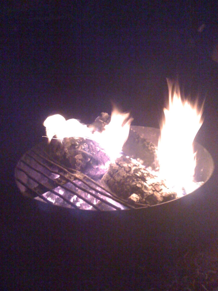 How to Make Campfire S'mores With No Mess - Delishably