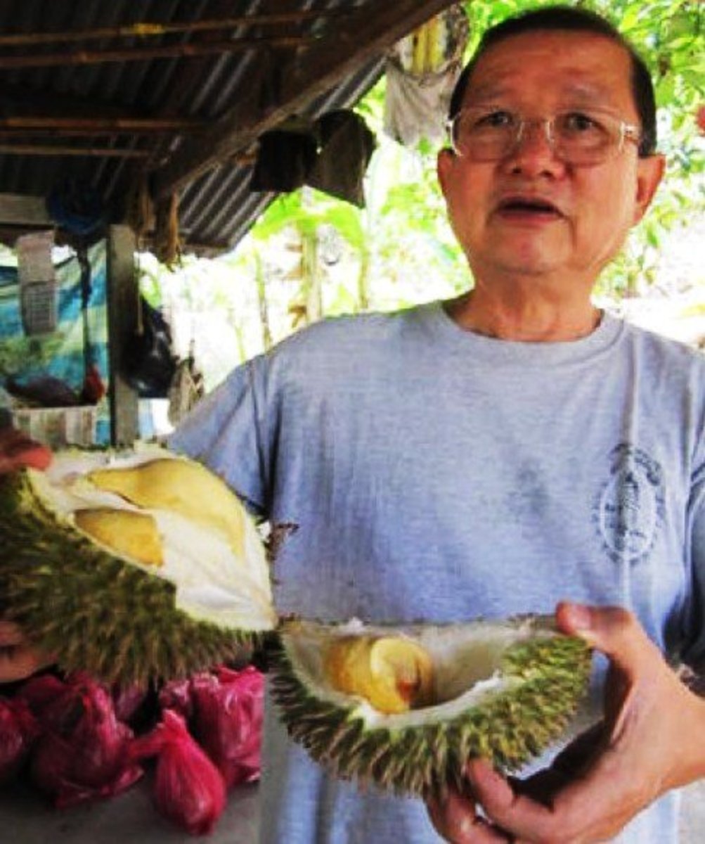 The World’s Weirdest and Most Exotic Fruits - Delishably