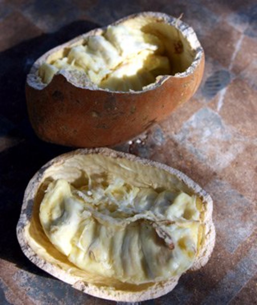 The World’s Weirdest and Most Exotic Fruits - Delishably