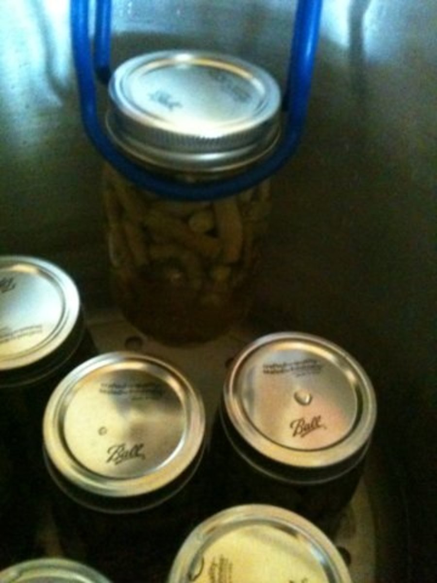 How to Can Green Beans at Home in a Pressure Canner - HubPages