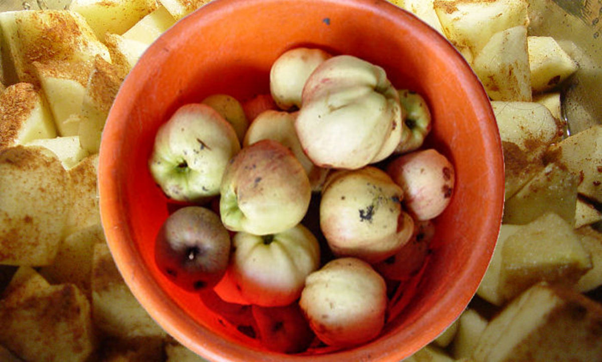 How to Make Delicious Applesauce With Cinnamon and Raisins - HubPages