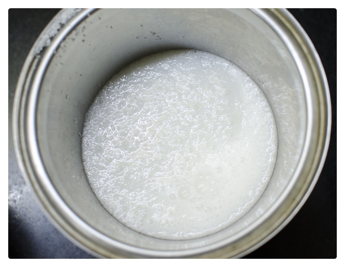 How to Make Coconut Milk at Home - HubPages