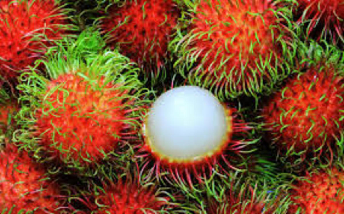 Delicious Chinese Fruit That Westerners Should Try - Delishably