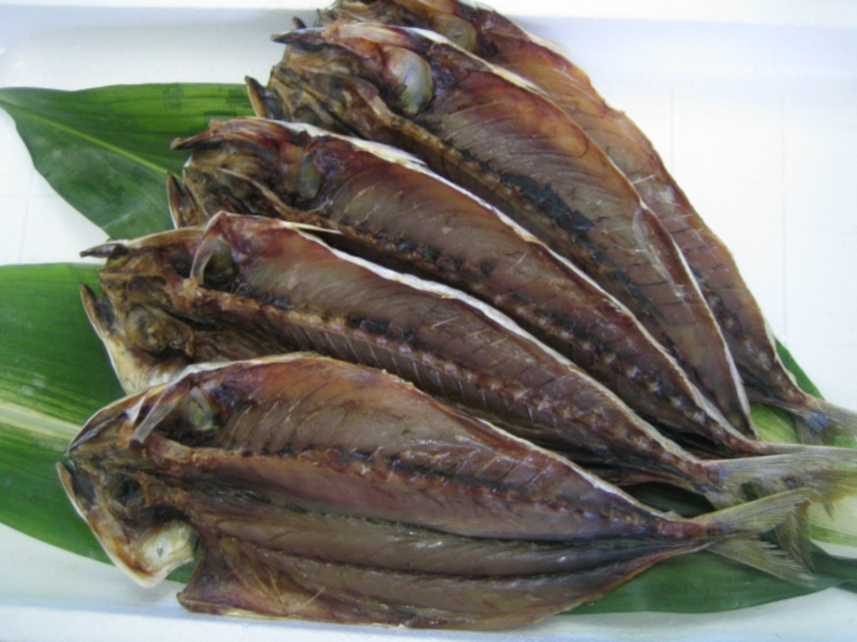 Top 10 Strangest Foods Found in Japan - Delishably