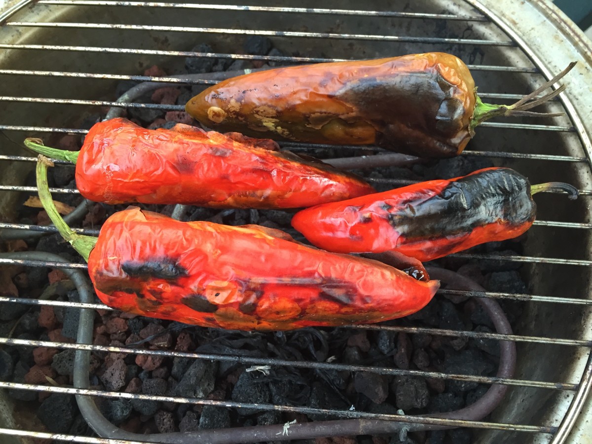 Ways to Preserve Tomatoes and Peppers - HubPages