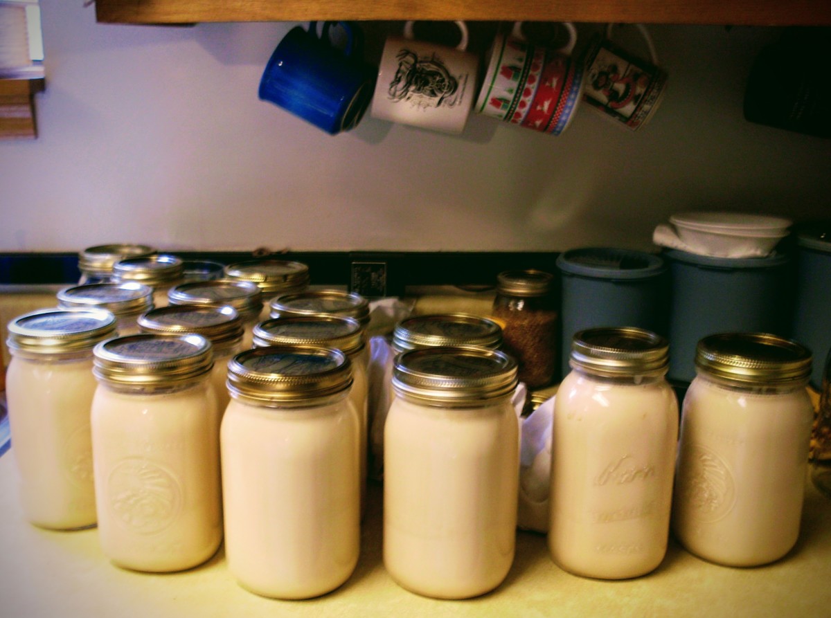 How to Pressure-Can Goat's Milk: A Step-by-Step Photo Guide - Delishably