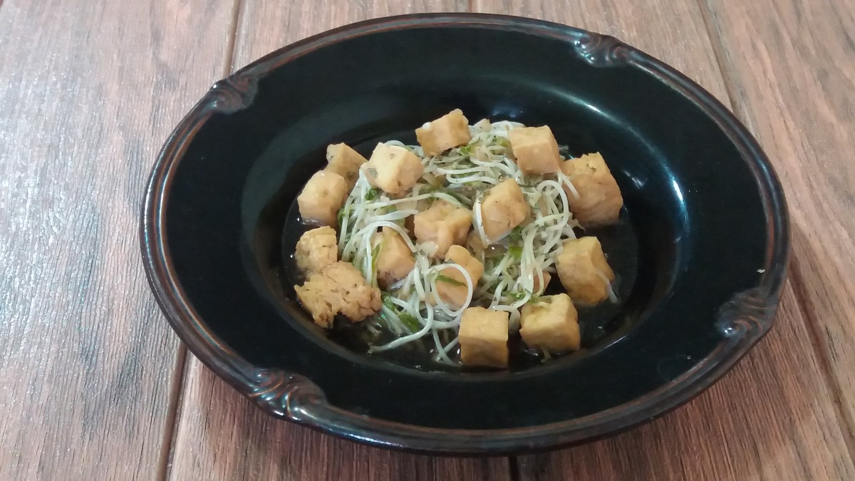 How to Make Fried Tofu With Mung Bean Sprouts - HubPages