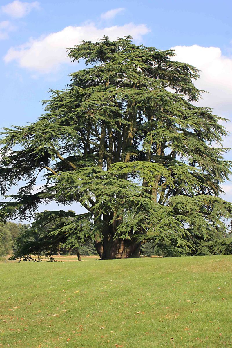 Leeds Castle: 'The World's Loveliest Castle' - HubPages