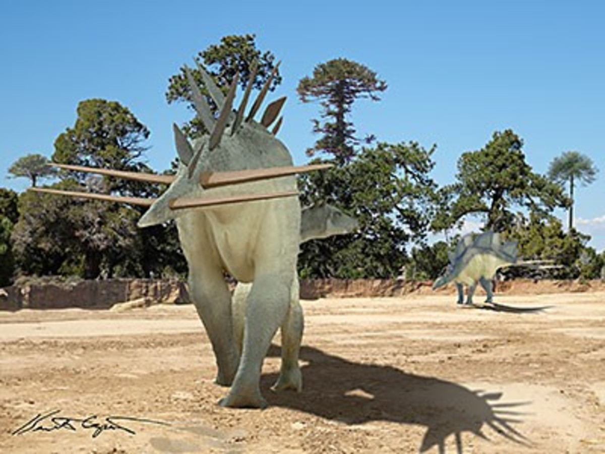 2016年最重要的恐龙发现——猫头鹰 - 188宝金博官网到底是哪个