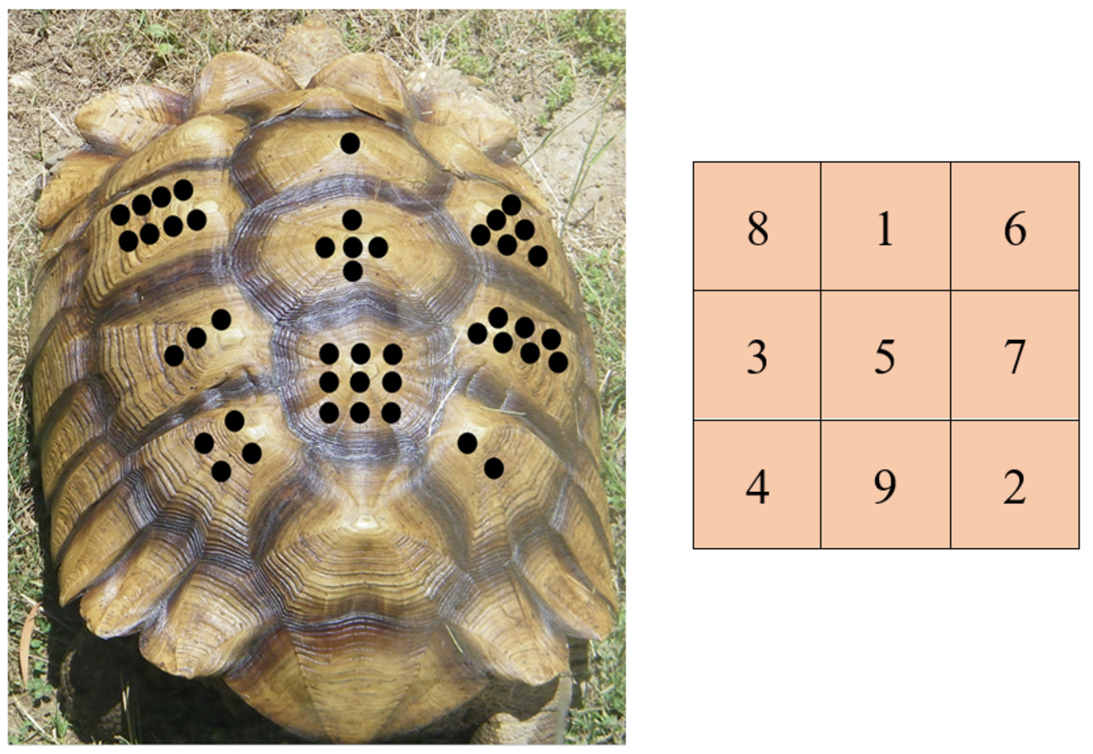 How To Create Magic Squares Owlcation