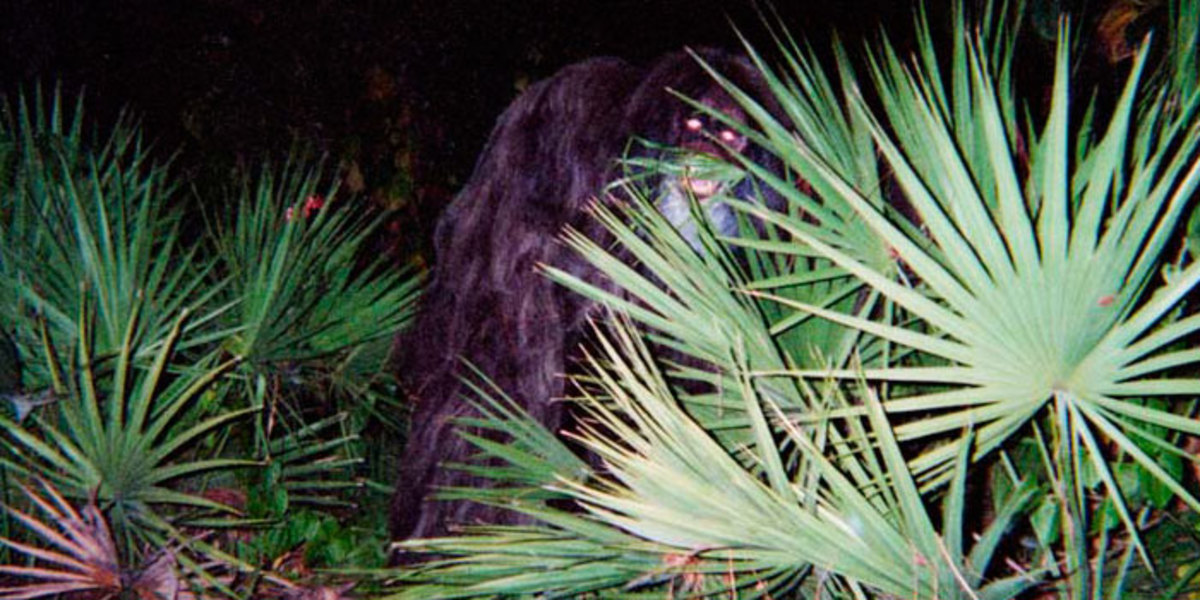 Top 10 Lesser-Known Cryptids From Around the World - HubPages