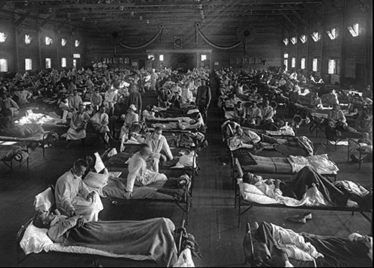 10 Deadliest Pandemic Diseases in History - HubPages