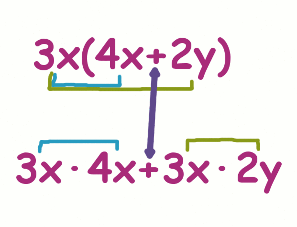 Multiply Polynomials With Examples FOIL Grid Methods Owlcation