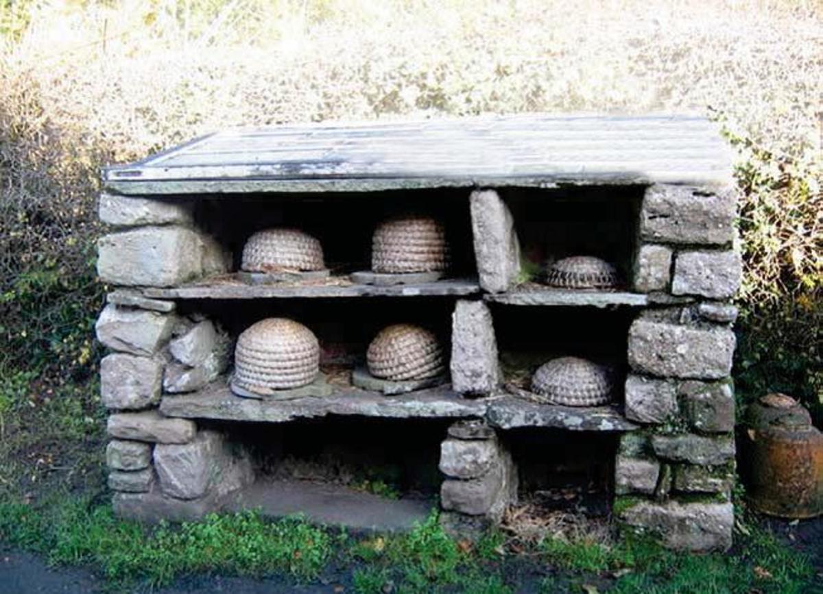 The Celtic Lore of the Honey Bee - Owlcation