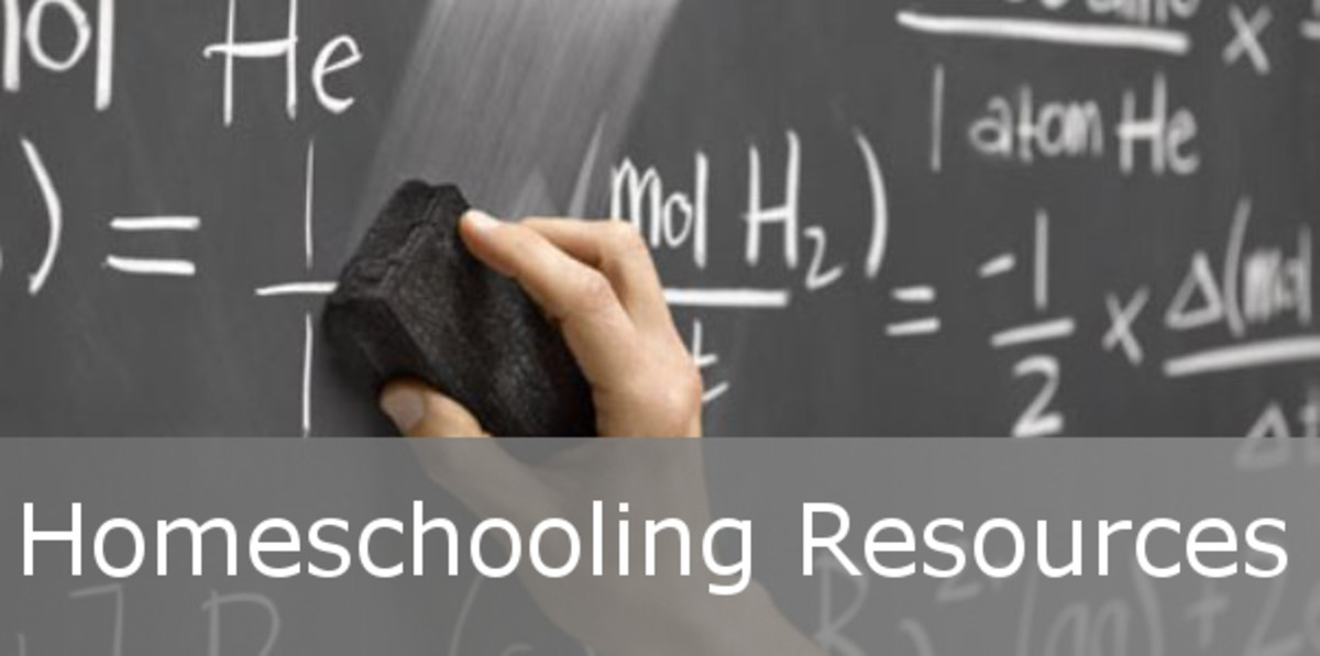 Lessons I Learned During My First Year of Homeschooling - HubPages