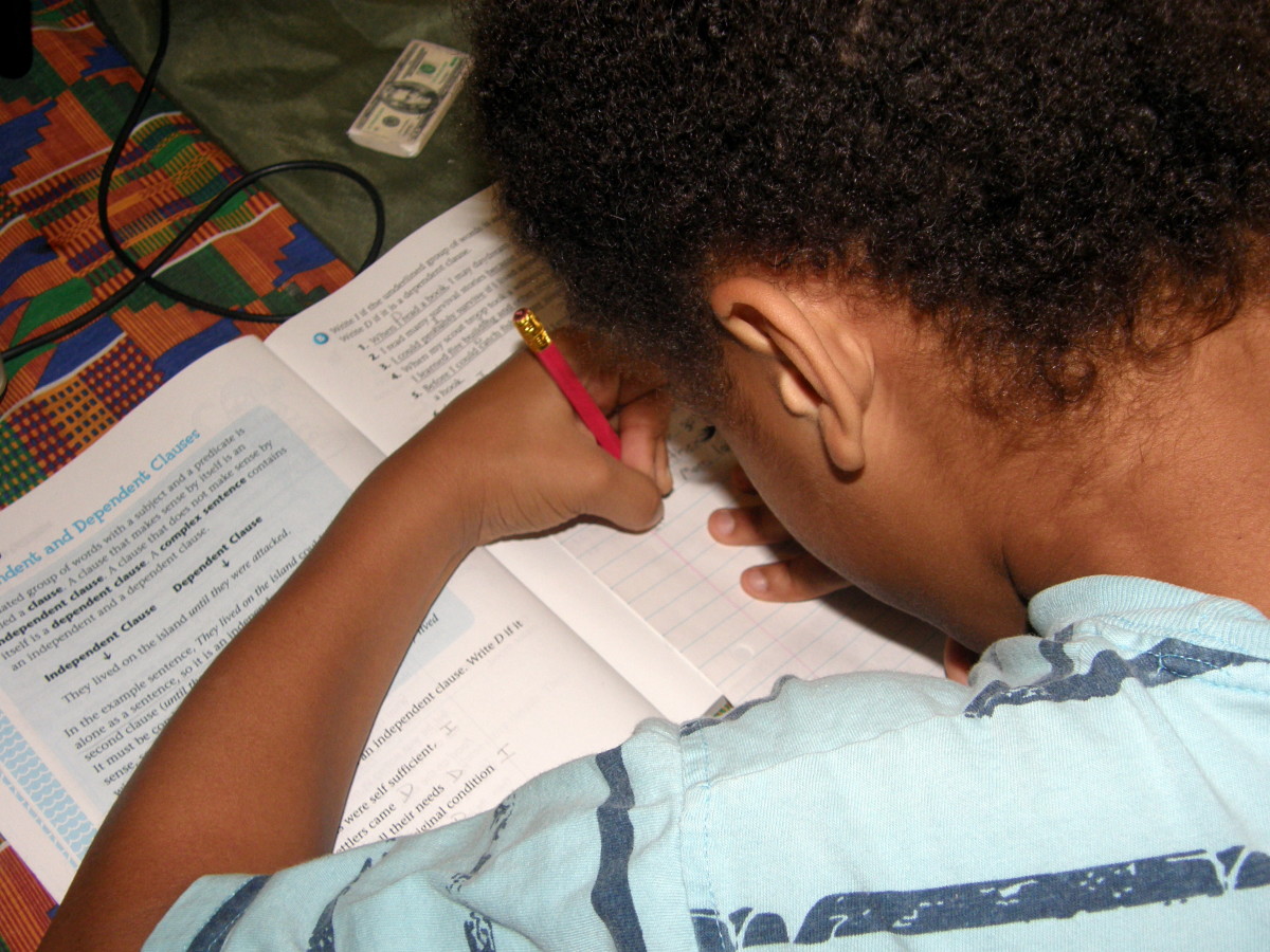 Lessons I Learned During My First Year of Homeschooling - HubPages