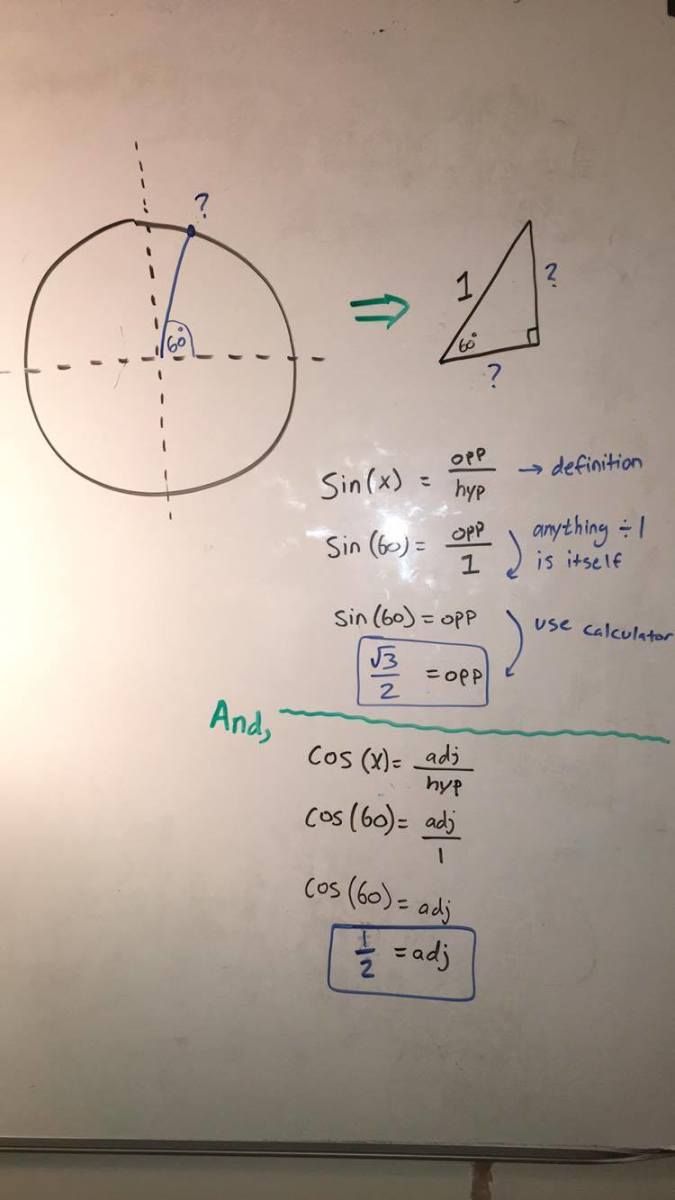 Trigonometric Circle Simple