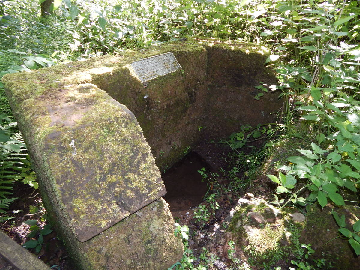 The Legend of Saint Kenelm's Holy Well - HubPages