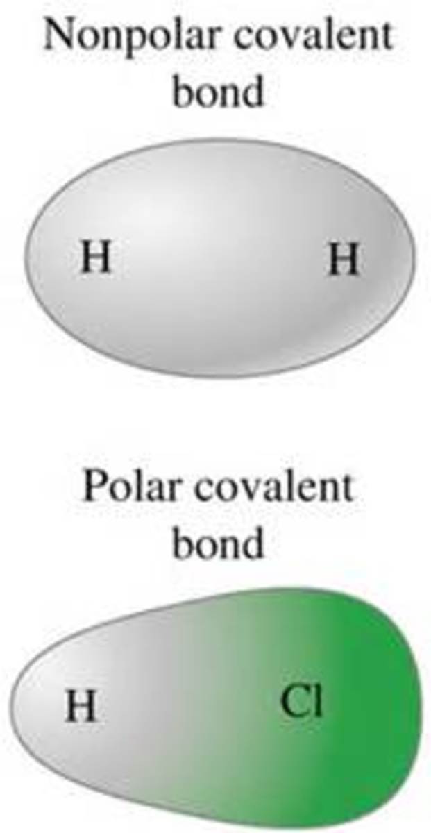 Chemical Bonding: How Do Atoms Combine? What Forces Bind Atoms Together ...