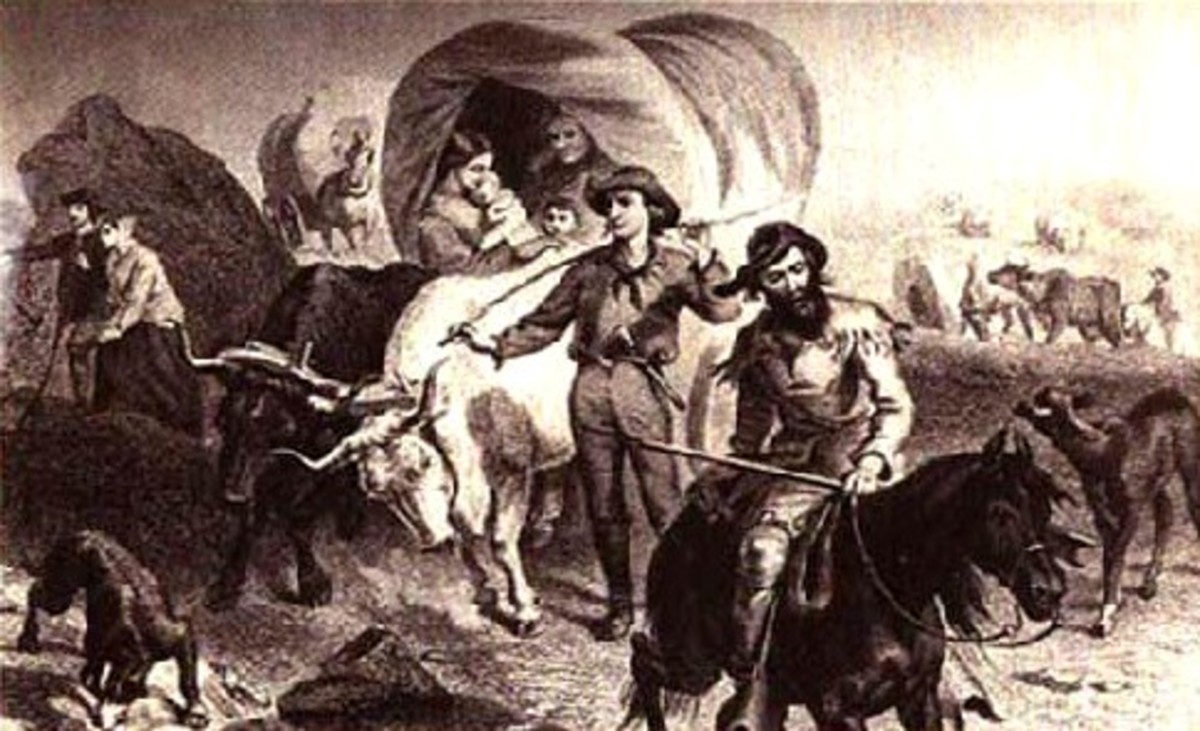 7 of the Best "Disaster" Books of All Time - Owlcation