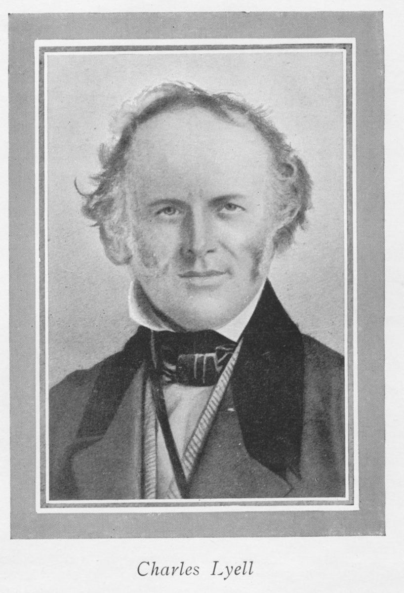 Elizabeth Kolbert's "The Sixth Extinction": A Summary Review - HubPages