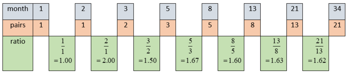 What Are Fibonacci Numbers? - HubPages