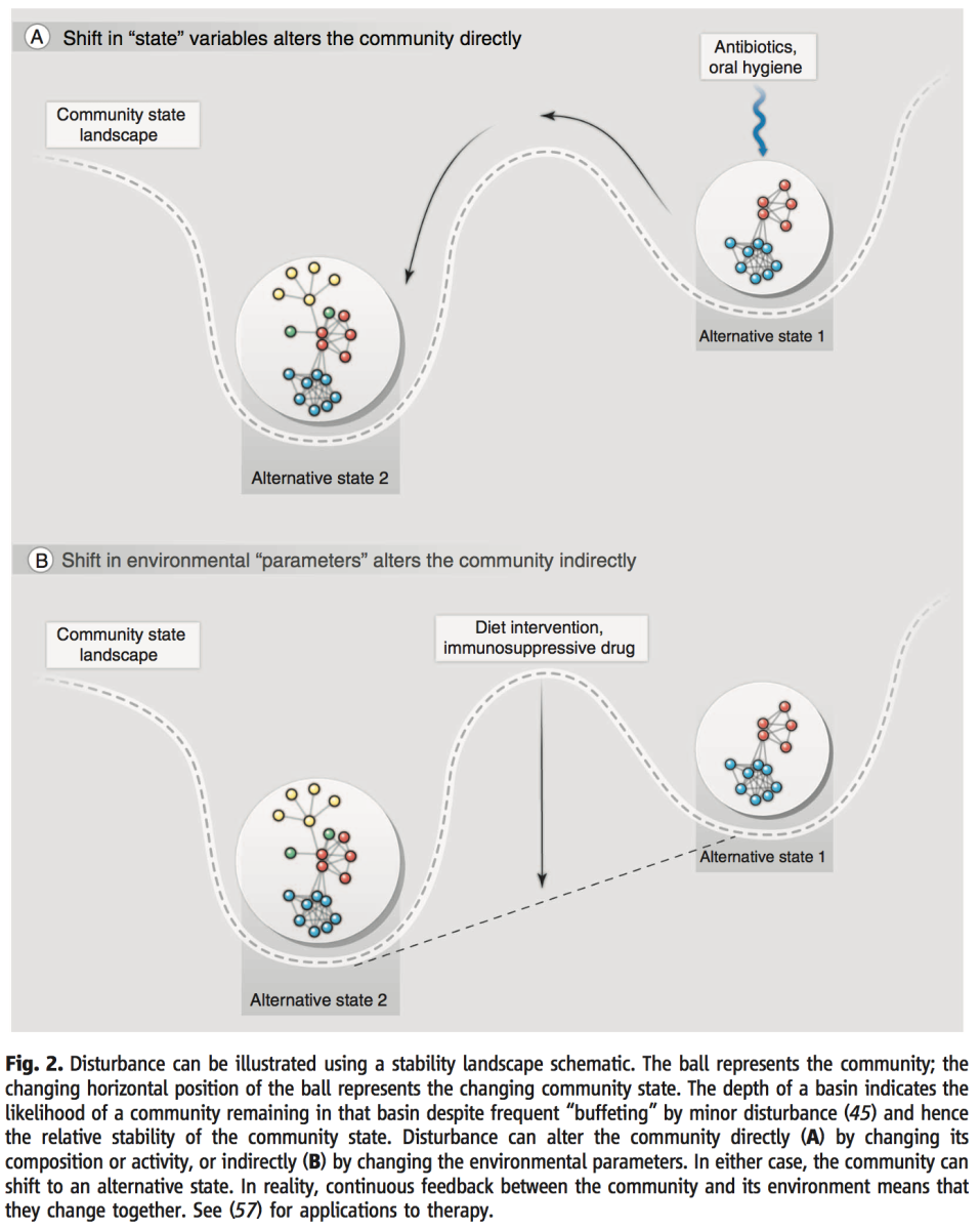 The Ecology of the Human Microbiome - HubPages
