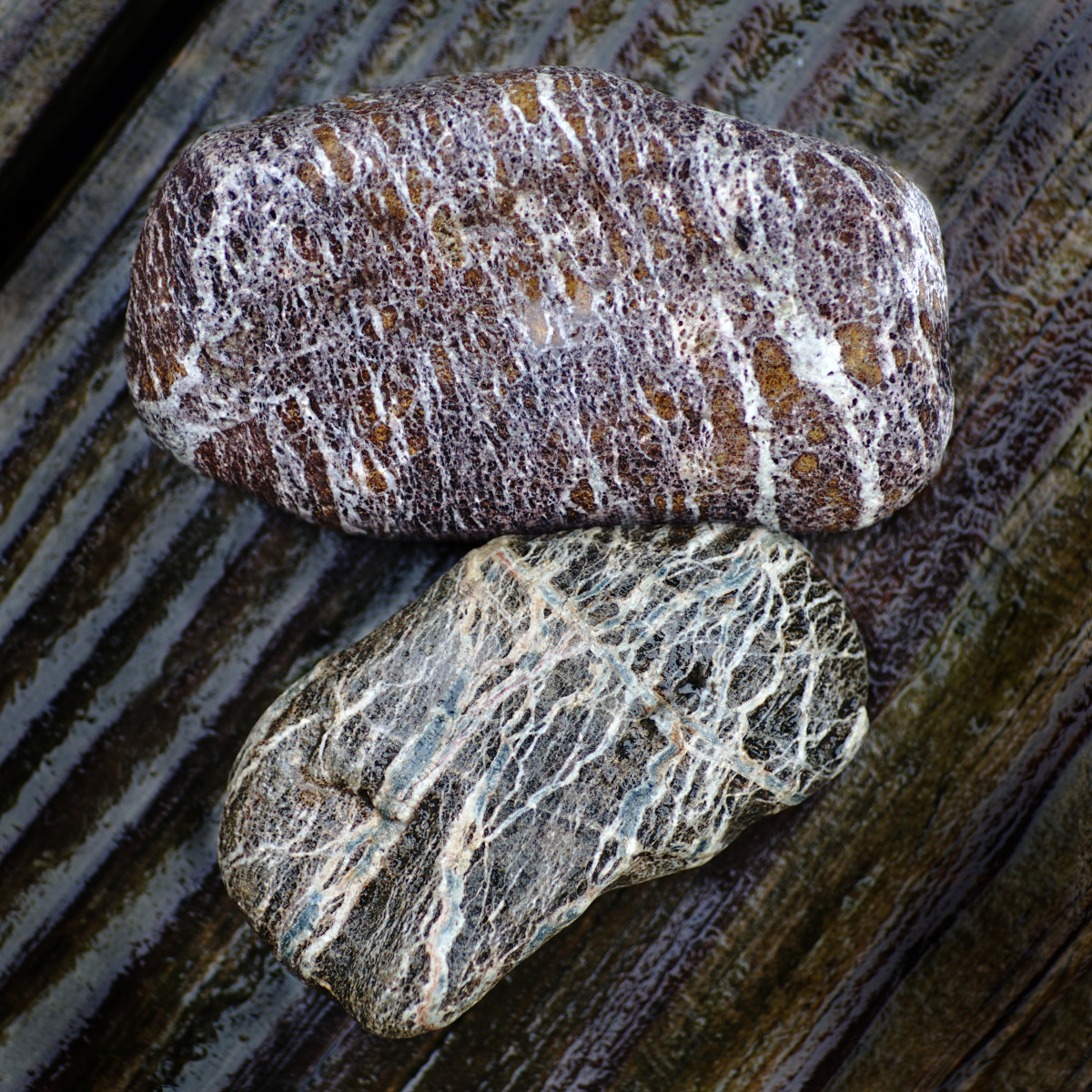 Common Beach Stone Identification (Including Dolomite, Quartz ...