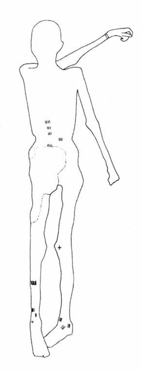 Ancestral Marks: Resurrecting the Art of the Kahuna Ka Uhi - HubPages