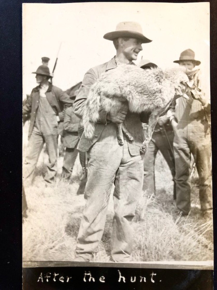 Kansas Wolf Hunts - HubPages