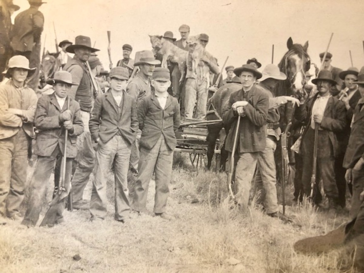 Kansas Wolf Hunts - HubPages