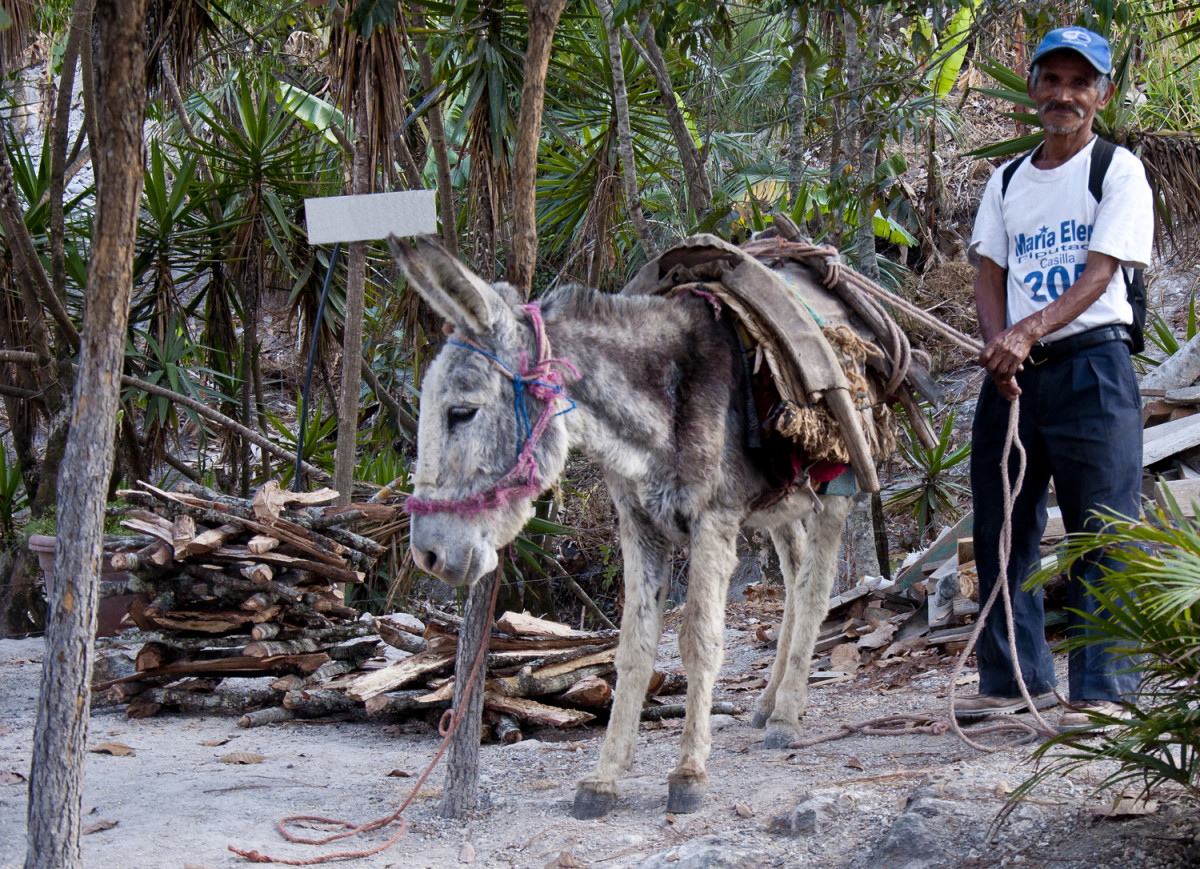 What Life Is Like in Rural Honduras - HubPages