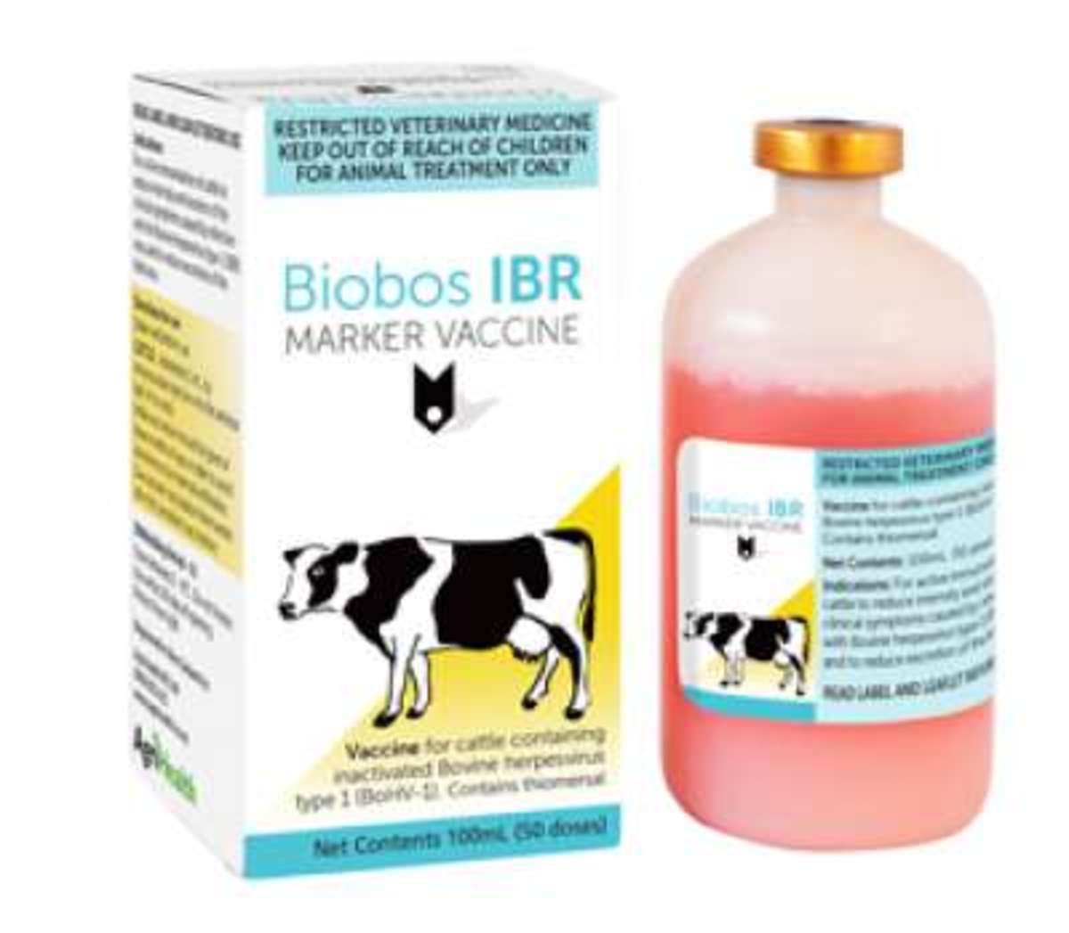 Infectious Bovine Rhinotracheitis (IBR) - Owlcation