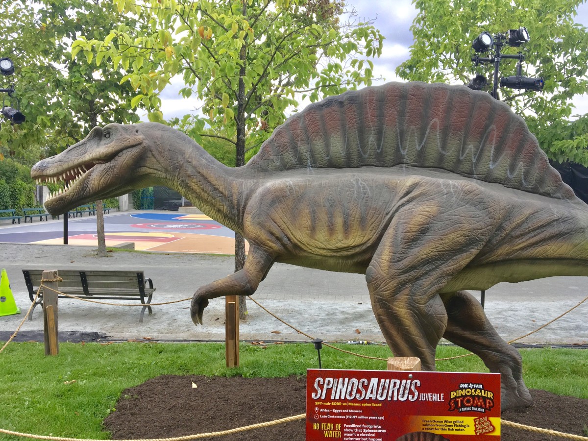 Animatronic Dinosaurs and Facts About the Real Reptiles - Owlcation